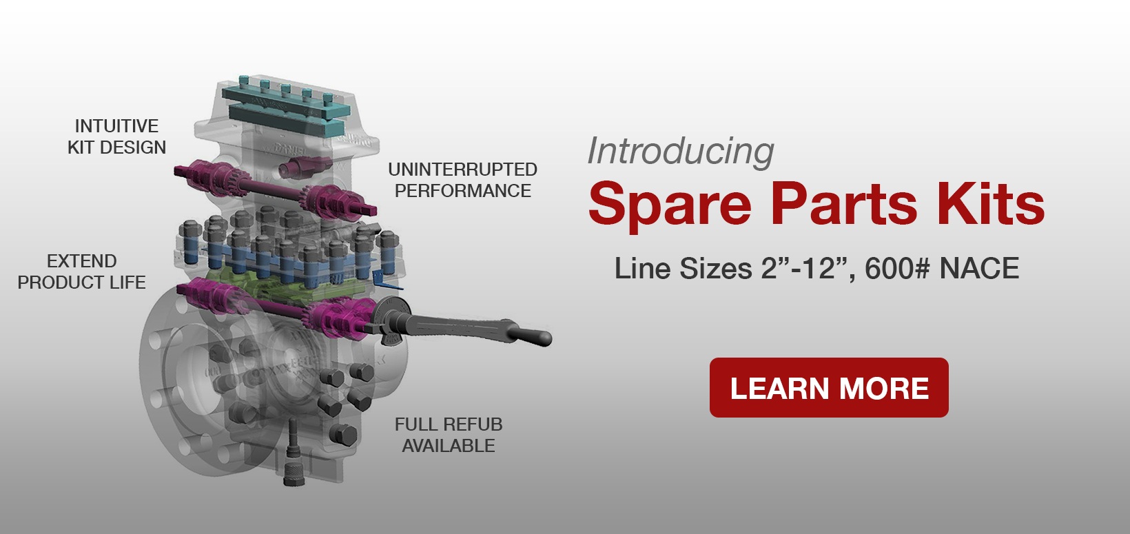 Daniel Home - Daniel Measurement and Control
