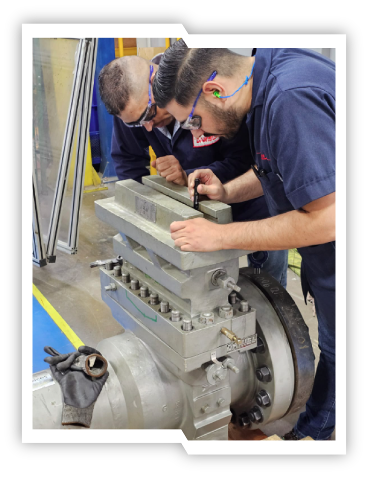 Services - Daniel Measurement & Control